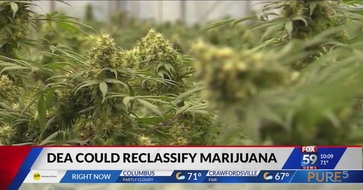 The Impact of Biden Administration on Marijuana Reclassification