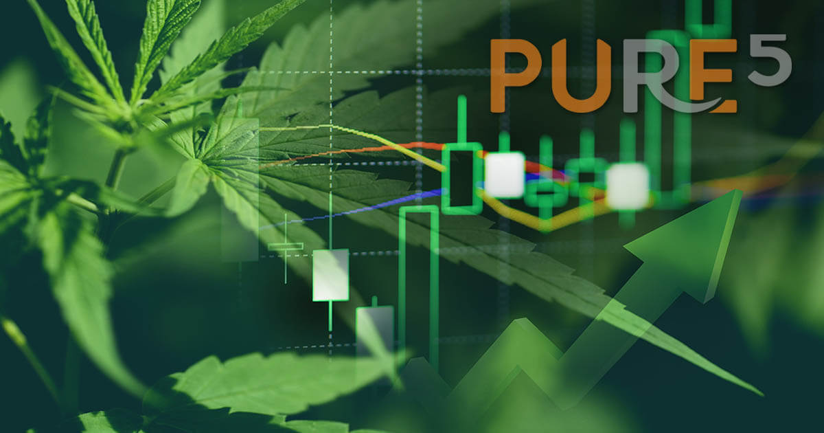 Scale Up Your Cannabis Extraction with PURE5™'s R134A Method
